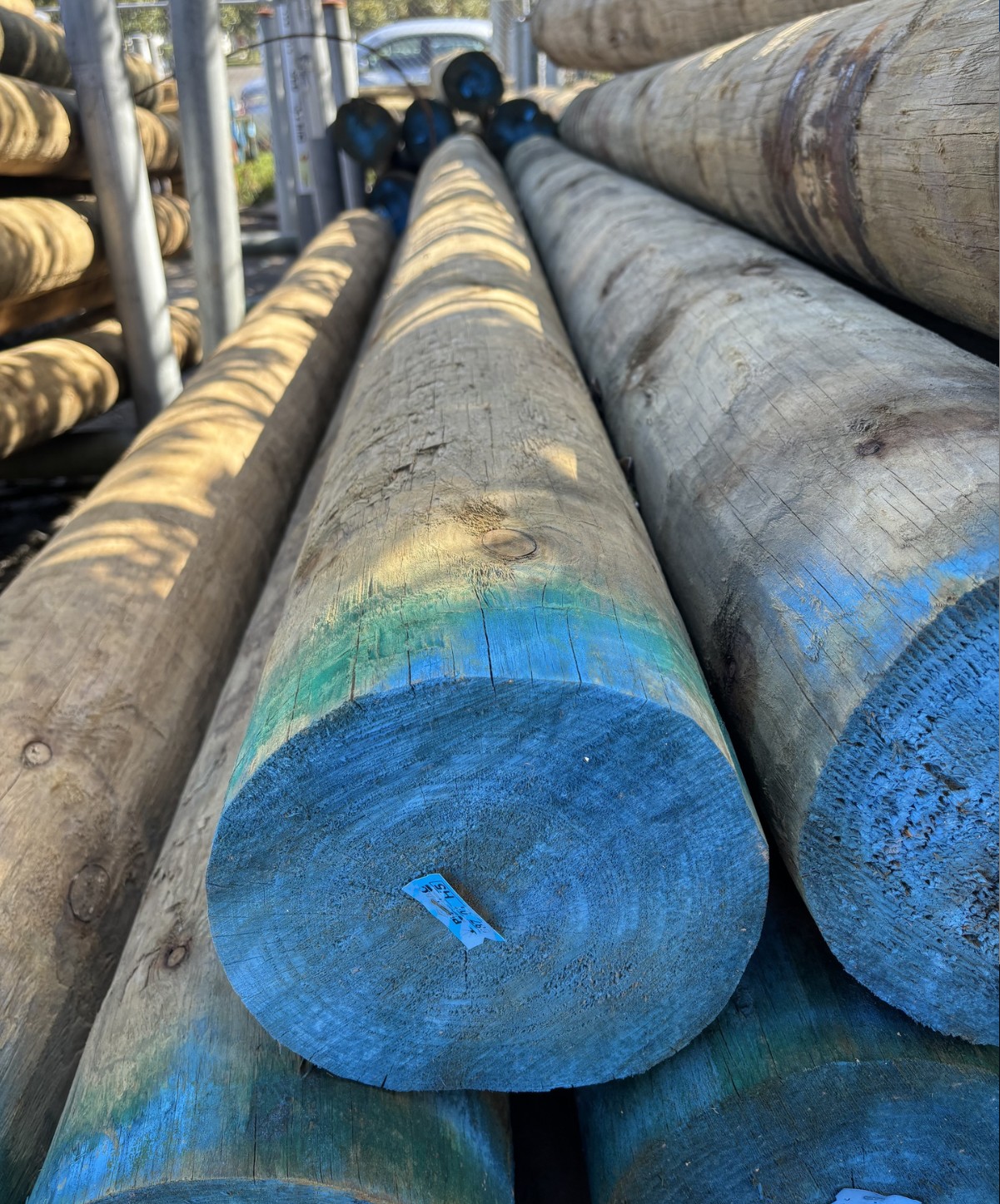 Timber Treatment Grades Explained H1.2, H3.2, H4, H5 & H6